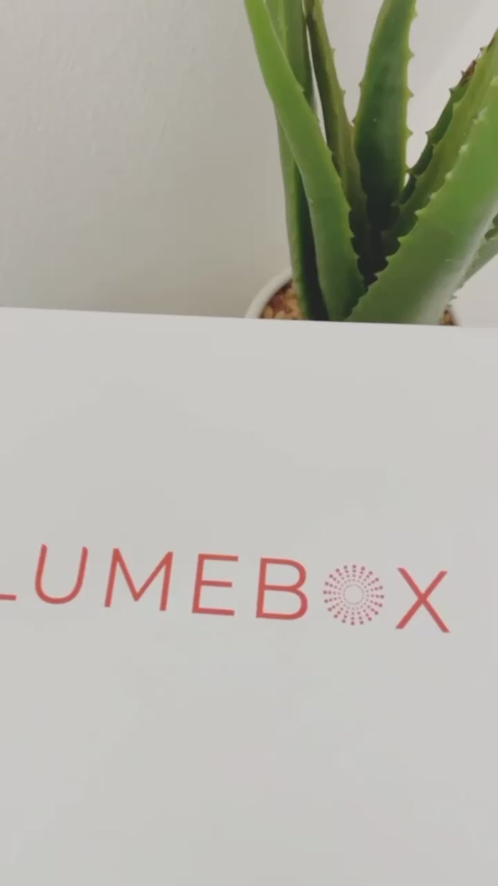 LUMEBOX Stand